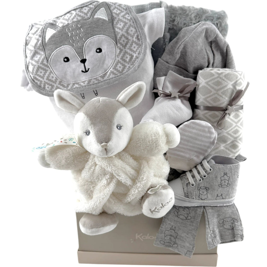 Snuggle Time Baby Gift Basket - Soft & Cozy Gifts for Newborns ...